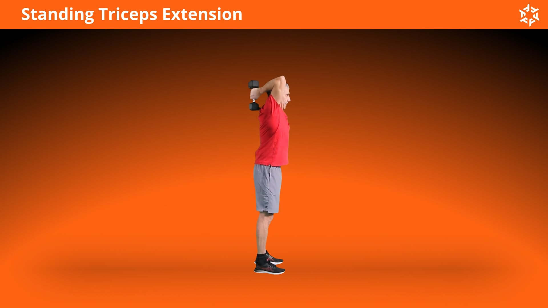 Comment effectuer Standing Triceps Extension? - Functional Home Training