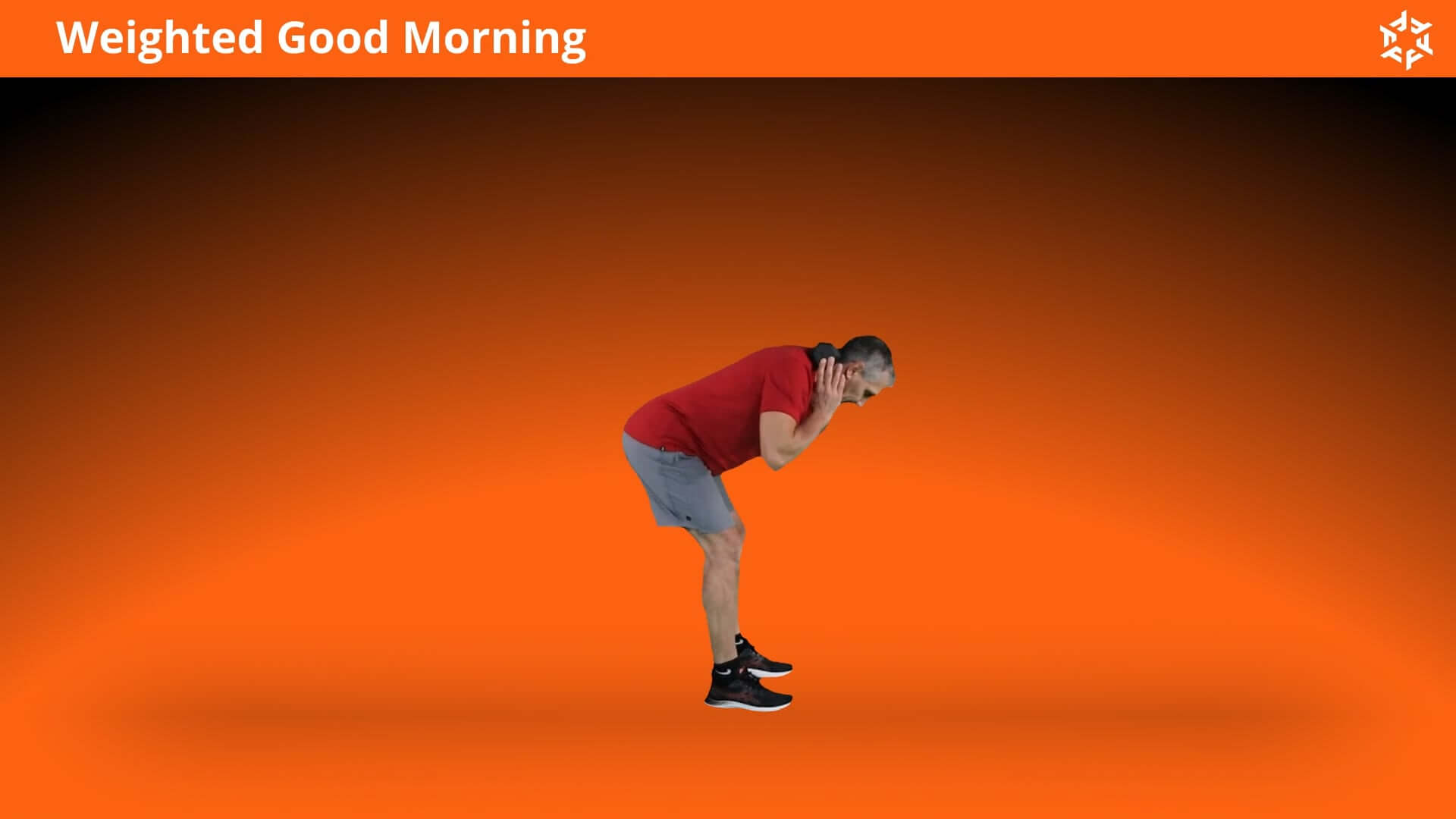 Comment effectuer Weighted Good Morning? - Functional Home Training